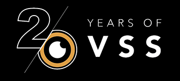 Vision Sciences Society 2020 - Brain Vision