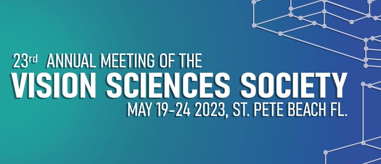 VSS 2023 - Brain Vision