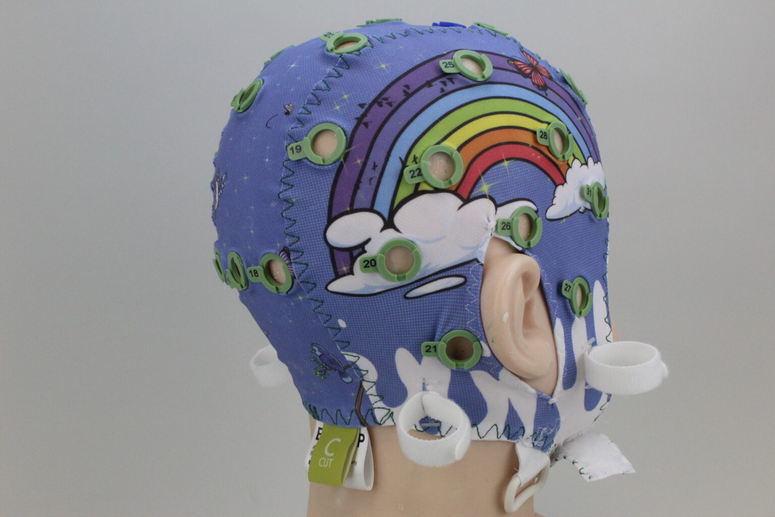 Easycap - Brain Vision
